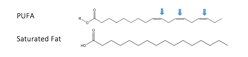 The Number One Diet Change You Need to Make to Reduce Your Risk for ...